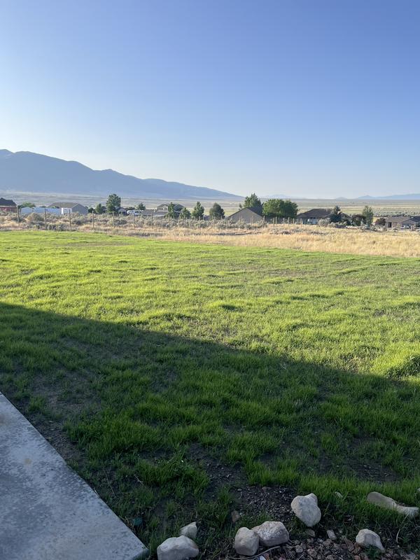 GroundWork 50 lb. 35,000 sq. ft. Fast Lawn Grass Seed Mixture at ...