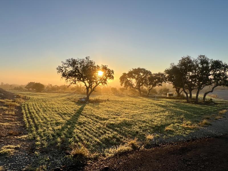 BioLogic Deer Plot Food Plot Mix, 45 lb., Covers 1 Acre at Tractor ...