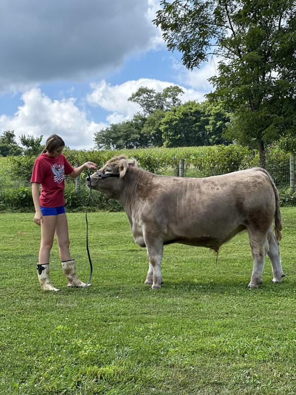 Purina Precon Complete with RX3 Cattle Feed, 50 lb. Bag at Tractor ...