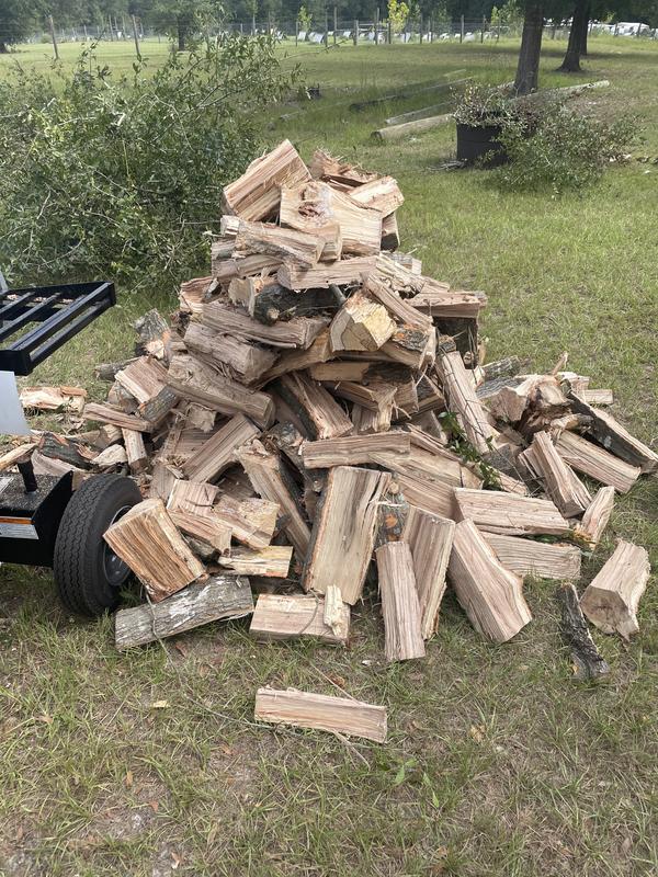 Oregon 30-Ton Gas-Powered Horizontal/Vertical Log Splitter, Log Catcher ...