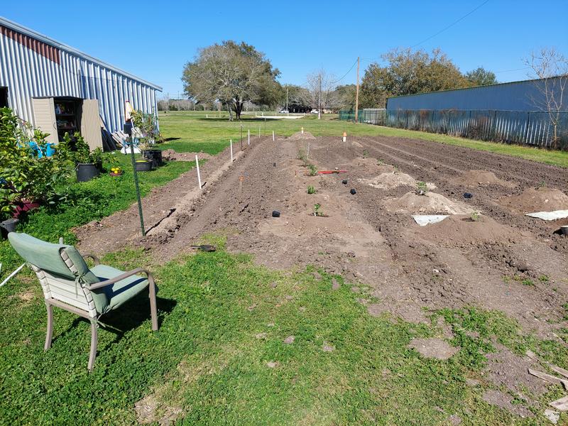 Field Tuff 43 in. 3-Point Garden Bedder and Hiller at Tractor Supply Co