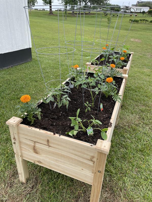 Veikous Cedar Raised Garden Bed Elevated Planter Box with Drainage ...