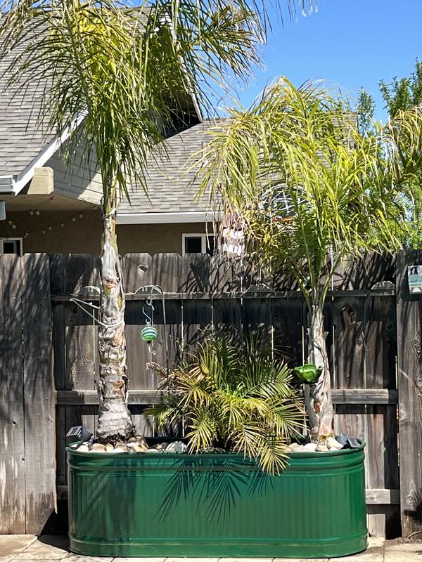 CountyLine 170 gal. Oval Galvanized Stock Tank, 2 ft. x 6 ft. x 2 ft ...