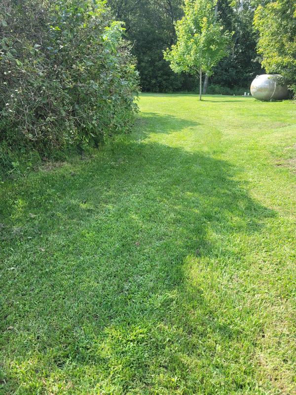 GroundWork 50 lb. 35,000 sq. ft. Landscapers Mix Grass Seed, North at ...
