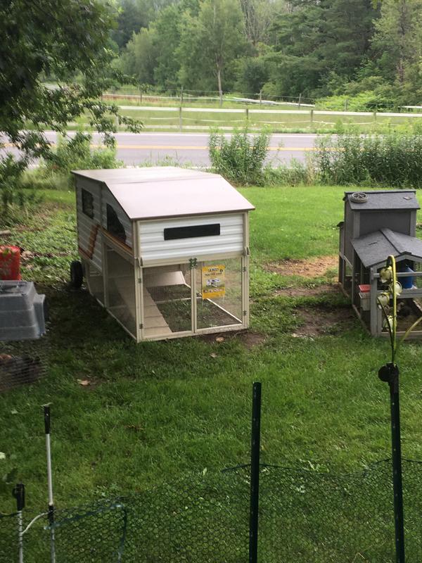 Producer's Pride Camper Tractor Chicken Coop, 8 Bird Capacity at ...