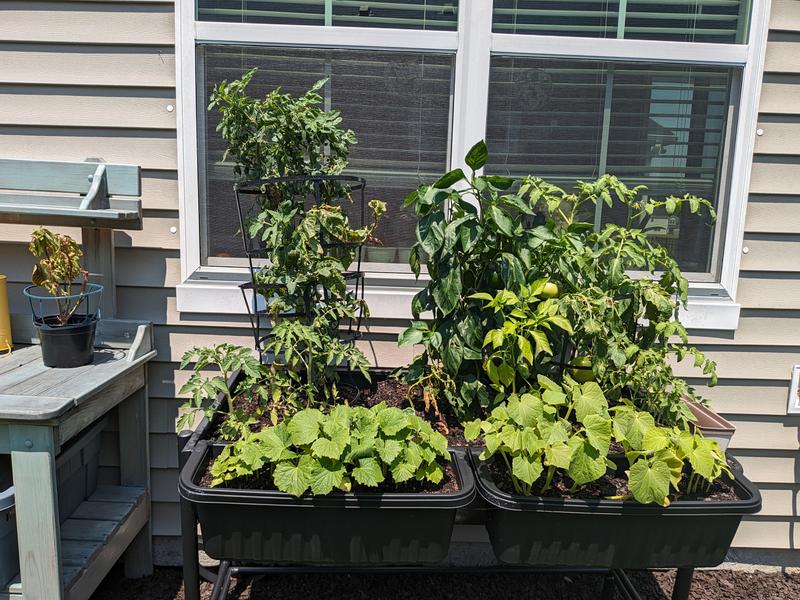 GroundWork 5.3 ft. Steel Rolling Planter, 49 in. x 23 in. at Tractor ...