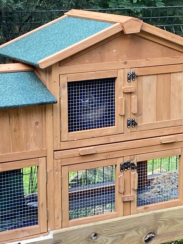 Hanover 2-Story Outdoor Wooden Elevated Rabbit Hutch with Ramp, Run ...