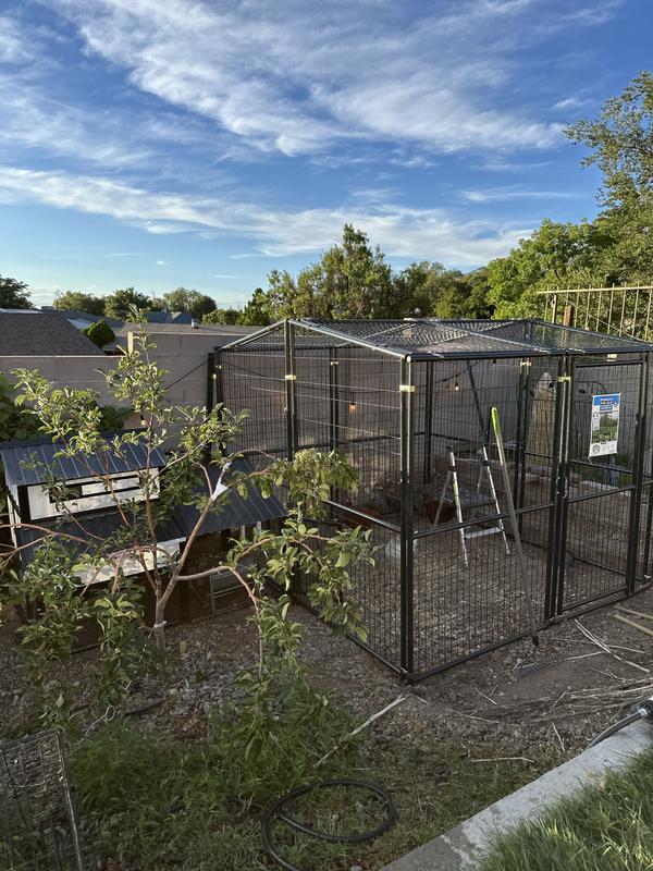 Producer's Pride Universal Poultry Pen, 24 Chicken Capacity at Tractor ...