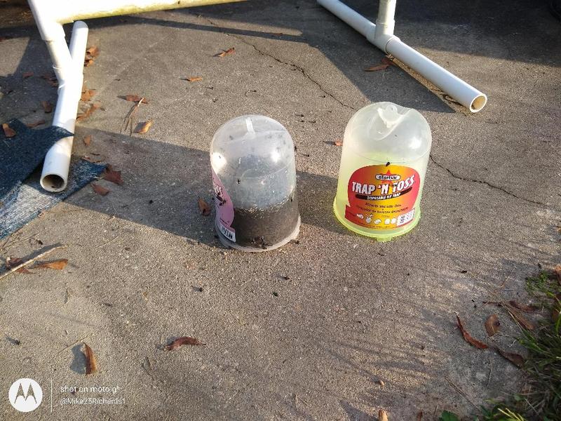Starbar Trap N Toss Disposable Fly Trap at Tractor Supply Co