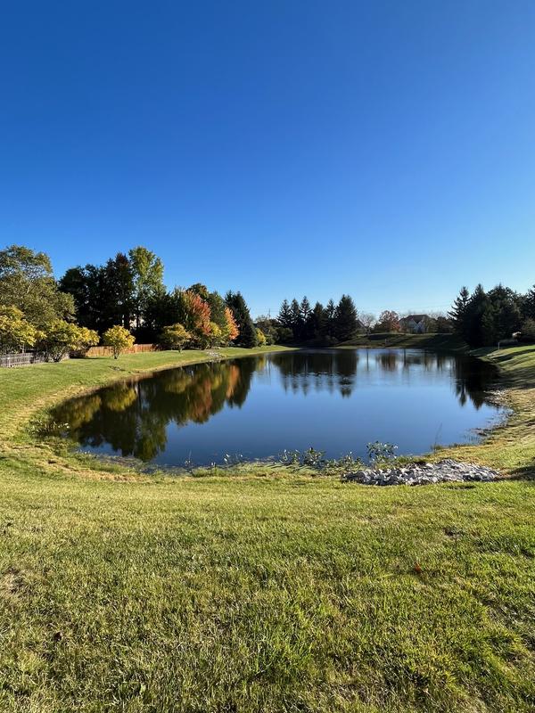 SePRO Sonar RTU Aquatic Herbicide, 1 Pint at Tractor Supply Co