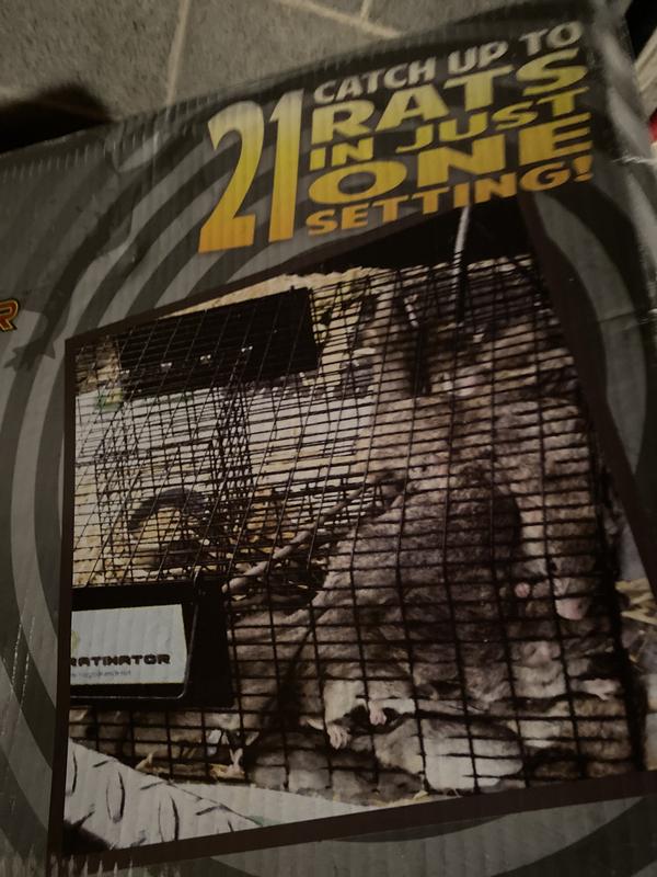 CatchMor Ratinator Rat Trap at Tractor Supply Co