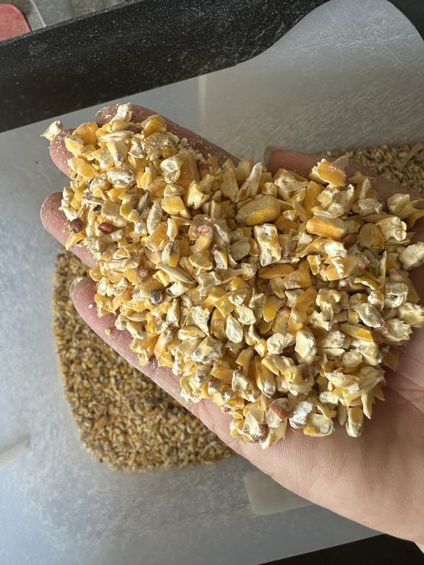 Producer's Pride Scratch Grains Poultry Feed, 50 lb. Bag at Tractor ...