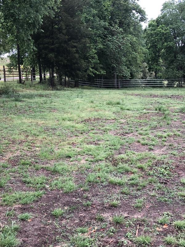 Gordon's 2.5 gal. Pasture Pro Herbicide, Concentrate at Tractor Supply Co