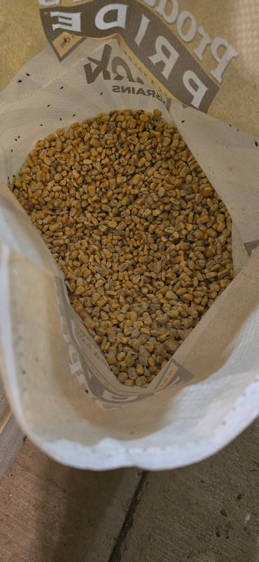 Producer's Pride Whole Corn Grains Cattle Feed, 50 lb. Bag at Tractor ...