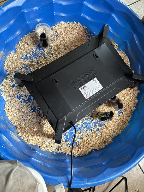 Producer's Pride Chicken Coop Brooder and Heater for 10 Birds at ...