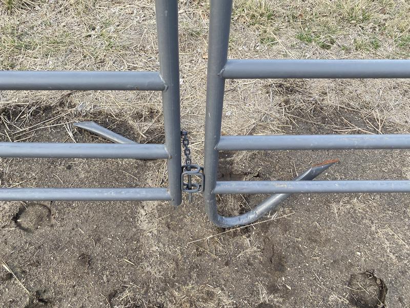 CountyLine 10 ft. 6-Bar Corral Panel, Gray at Tractor Supply Co