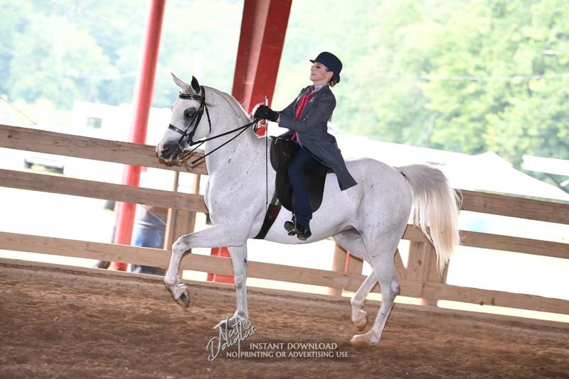 Purina Omolene #200 Performance Horse Feed, 50 lb. Bag at Tractor Supply Co