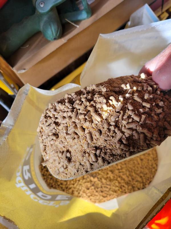 Producer's Pride 16% Layer Pelleted Chicken Feed, 50 lb. Bag at Tractor ...