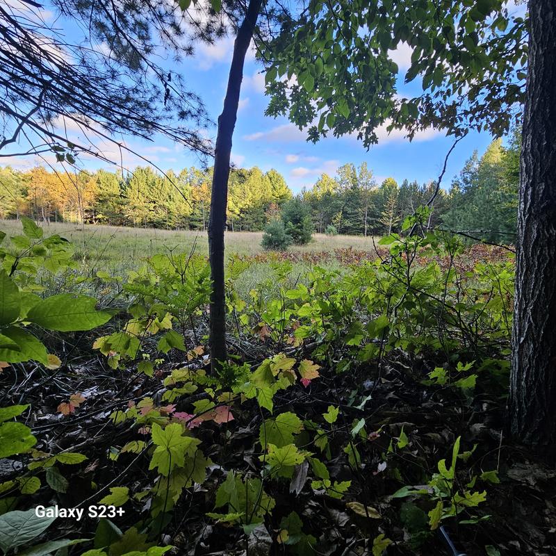 treeline 2-Person Corner Shot Deer Blind, Camo at Tractor Supply Co