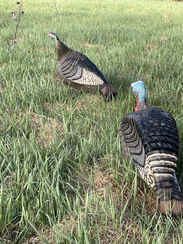 Hunters Specialties Strut-Lite Jake/Hen Decoy Combo Pack at Tractor ...