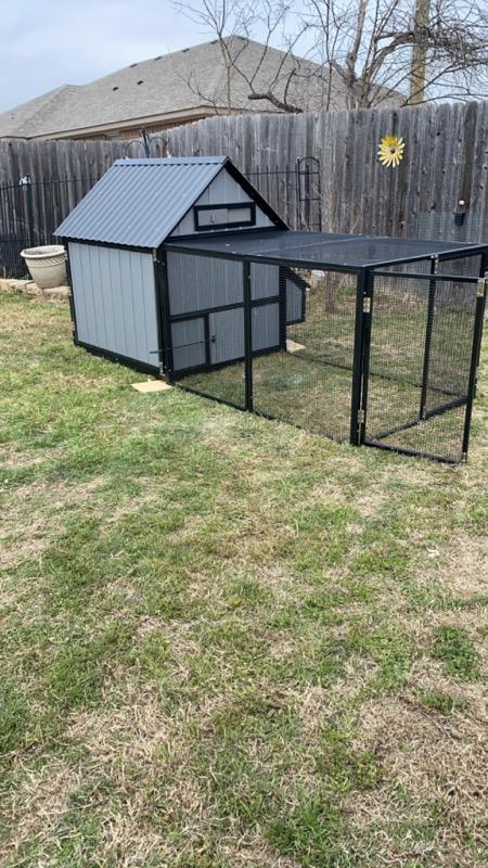 Producer's Pride Hill Country Coop, 6 Chicken Capacity at Tractor Supply Co