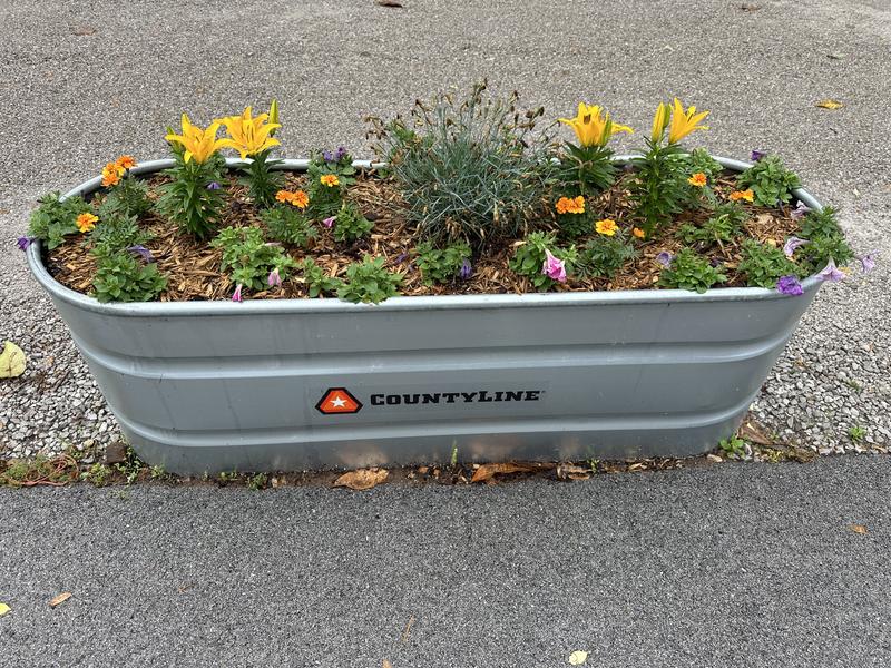 CountyLine 300 gal. Oval Galvanized Stock Tank, 3 ft. x 8 ft. x 2 ft ...