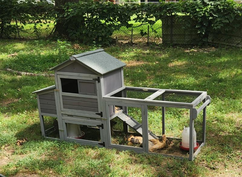 Aivituvin Chicken Tractor Mobile Chicken Coop, 1 to 2 Chicken Capacity ...
