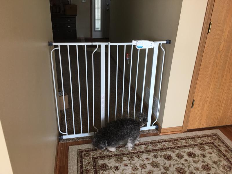 Regalo Extra Tall Widespan Walk-Through Metal Pet Gate, 29 in. to 49 in ...