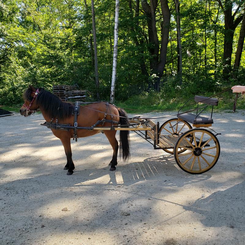 Triple Crown 30% Ration Balancer Pelleted Horse Feed, 50 lb. Bag at ...