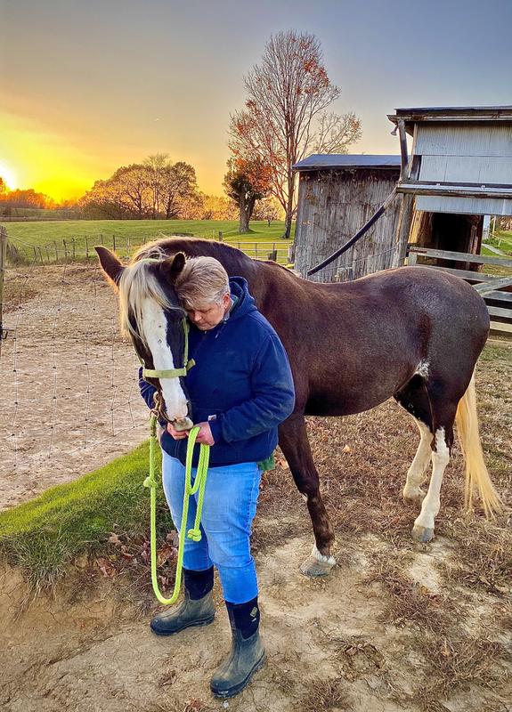 Purina Omolene #100 Active Pleasure Textured Horse Feed, 50 lb. Bag at ...