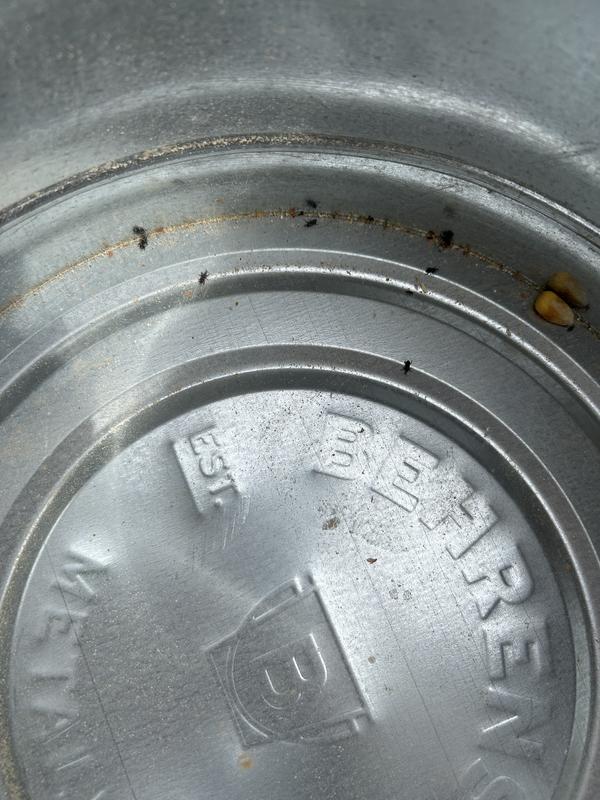 Producer's Pride Whole Corn Grains Cattle Feed, 50 lb. Bag at Tractor ...