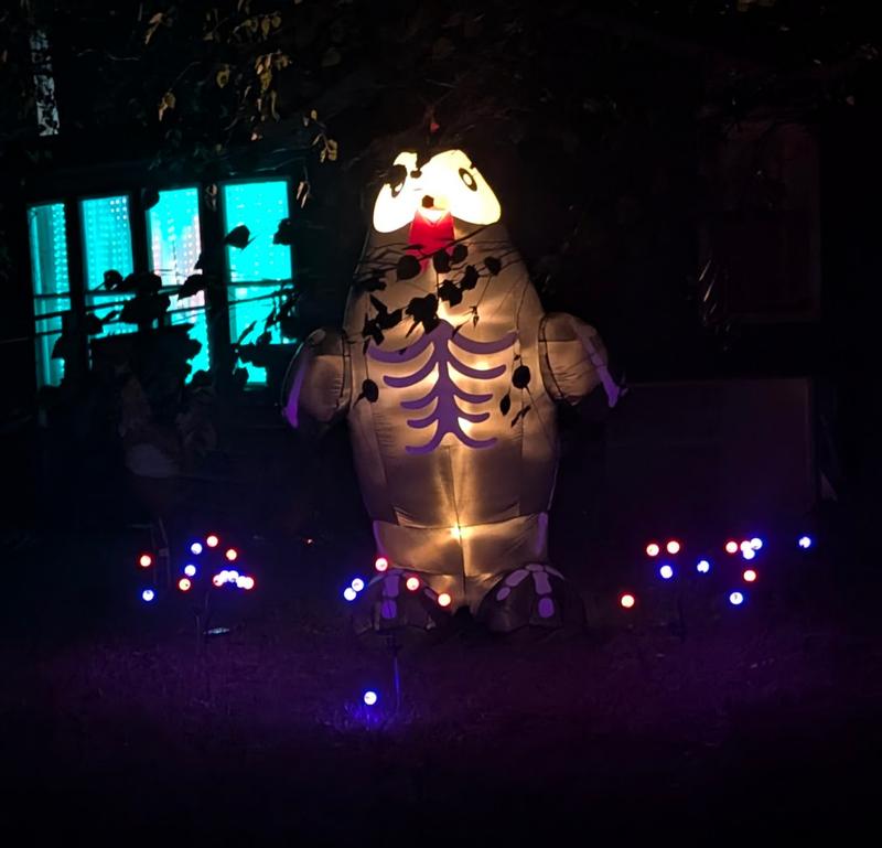 Gemmy8 ft. Indoor/Outdoor Skeleton Rooster Inflatable Halloween ...