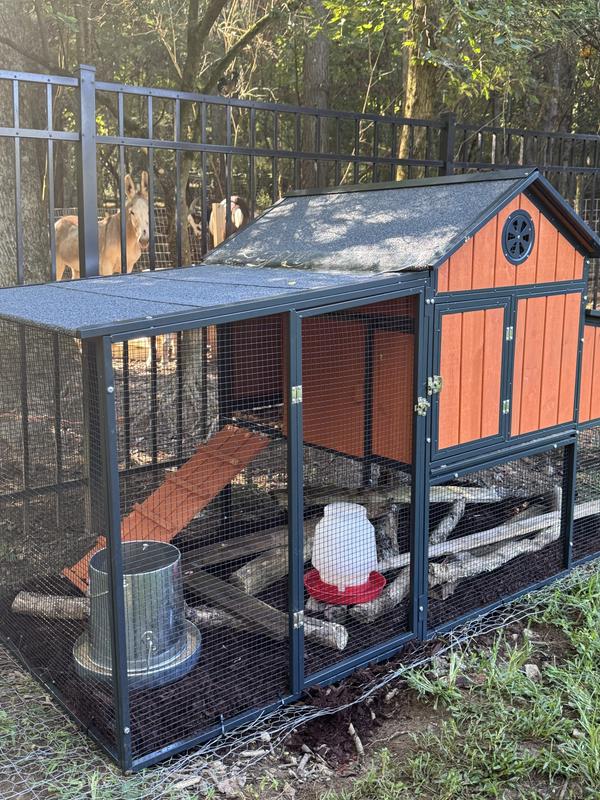 Producer's Pride Sentinel Chicken Coop, 6 Chicken Capacity at Tractor ...