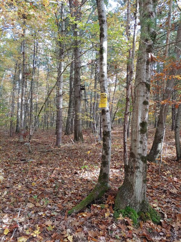 Hillman Posted Private Property Signs, 11 in. x 11 in., 25-Pack at ...