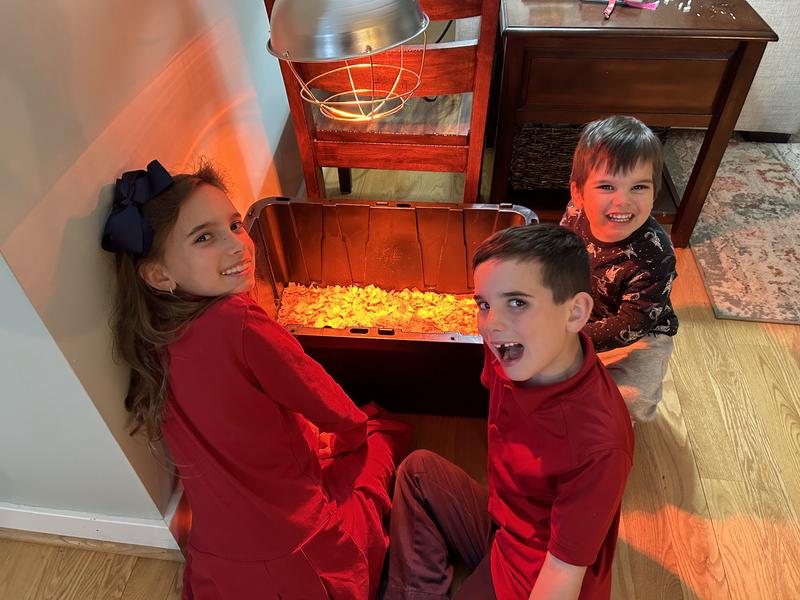 ImPECKables Beginner Poultry Starter Kit at Tractor Supply Co