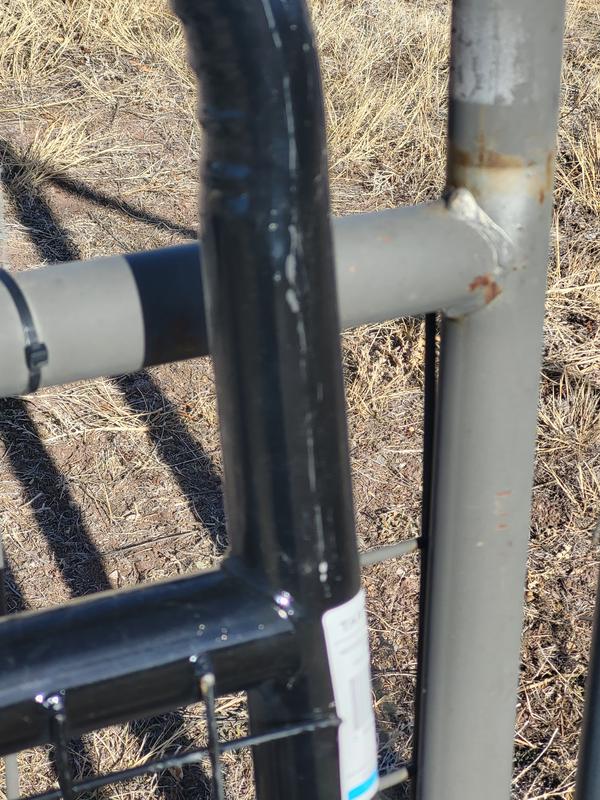 Tarter 3 ft. x 50 in. Wire Filled Gate, 2 in. x 4 in. Mesh, Black at ...