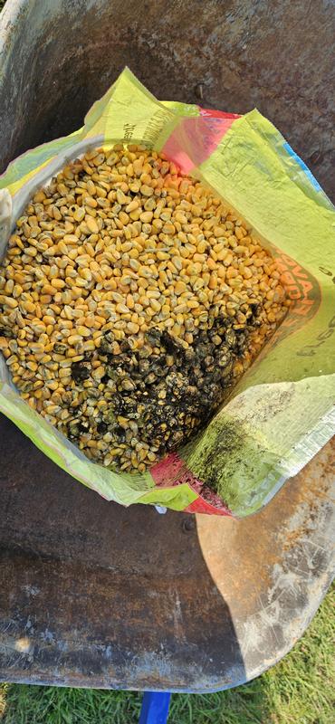 treeline Apple Flavor Deer Corn, 40 lb. Bag at Tractor Supply Co