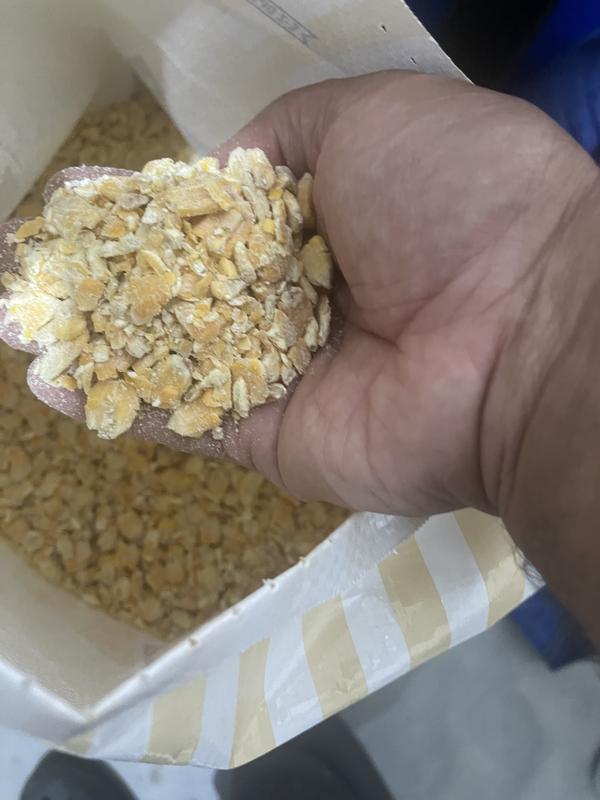 Grainland Select Rolled Corn Livestock Feed, 50 lb. Bag at Tractor ...