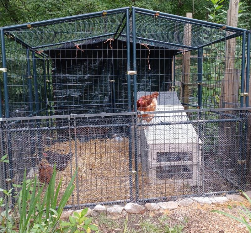 Producer's Pride Universal Poultry Pen, 24 Chicken Capacity at Tractor ...