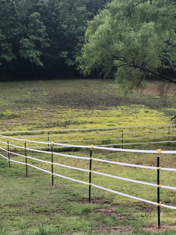 Gordon's 2.5 gal. Pasture Pro Herbicide, Concentrate at Tractor Supply Co