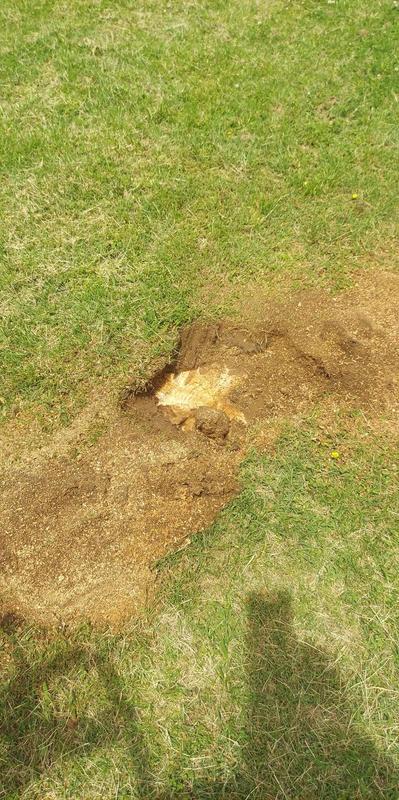 PowerKing 14HP- 12 in.x 3.5 in. wheel Stump Grinder with KOHLER CH440 ...