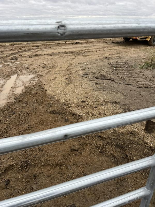 CountyLine 8 ft. x 50 in. 6-Bar Galvanized Tube Gate, 1-3/4 in. Tube at ...