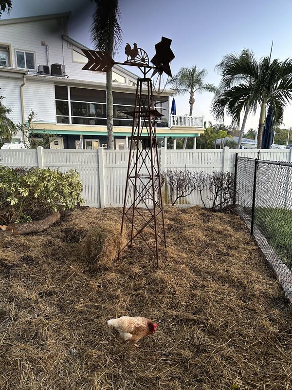 Red Shed Rustic Windmill, 10 ft. at Tractor Supply Co