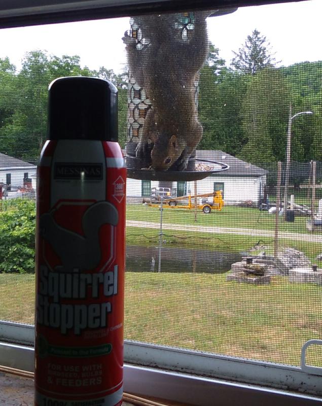 Messinas 15 oz. Squirrel Stopper Repellent at Tractor Supply Co.