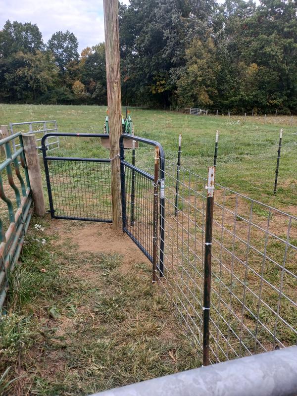 CountyLine 4 ft. x 50 in. Wire Farm Gate, Blue at Tractor Supply Co