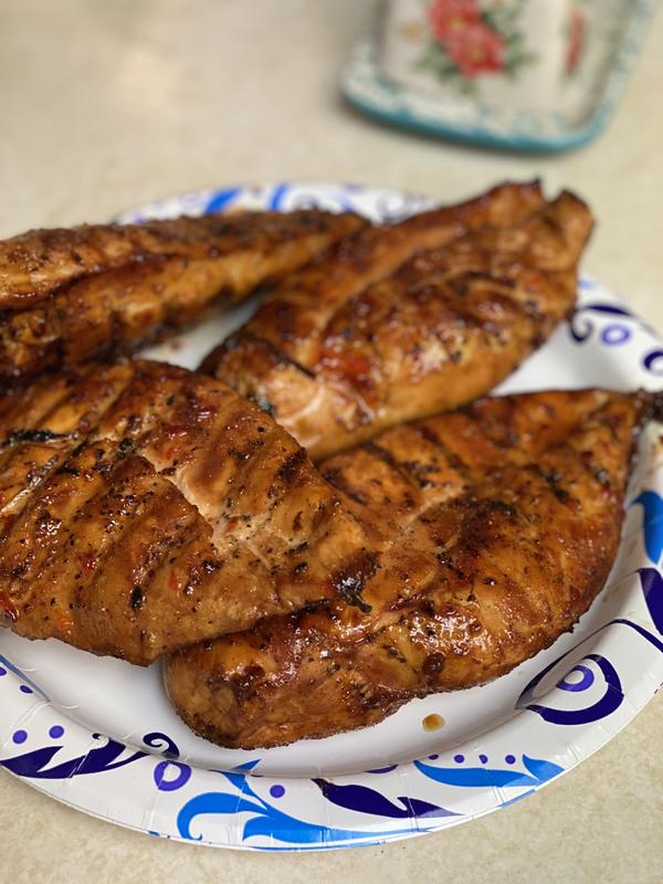 Traeger Scout Grill - Hike & Camp