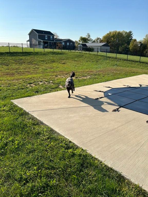 Ultimate Pet Nutrition Nutra Complete Premium Beef Recipe Adult Freeze Dried Dog Food, 16 oz ...