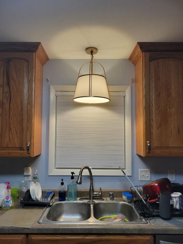 Cascadia Marion 1 -Light Mystic Gold Mid-century Cone Medium Hanging ...