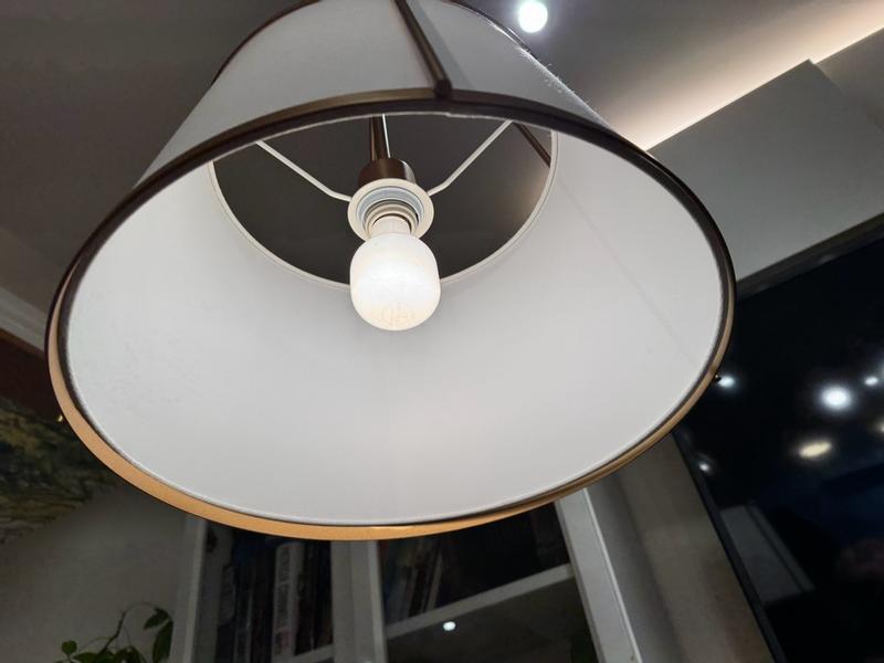 Cascadia Marion 1 -Light Mystic Gold Mid-century Cone Medium Hanging ...