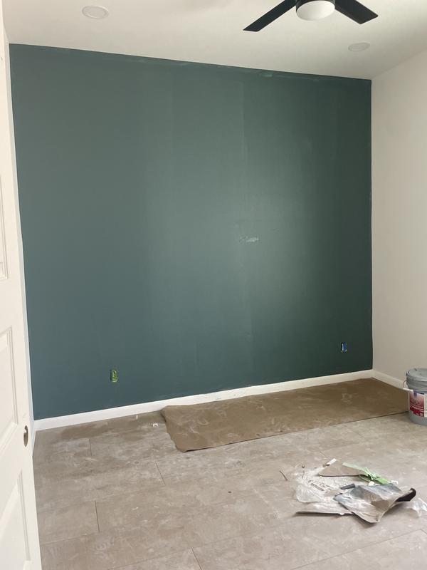 Valspar ExpressCoat Eggshell Base C Tintable Interior Paint ( 1-gallon ...